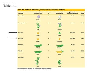 lecture12 (1).pdf