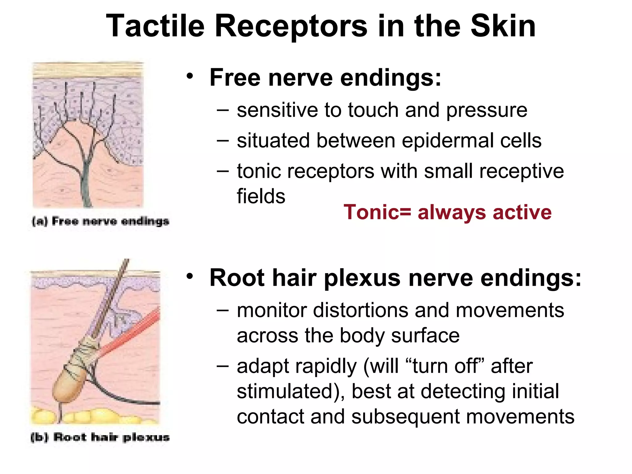 Lecture12 2 13 | PPT