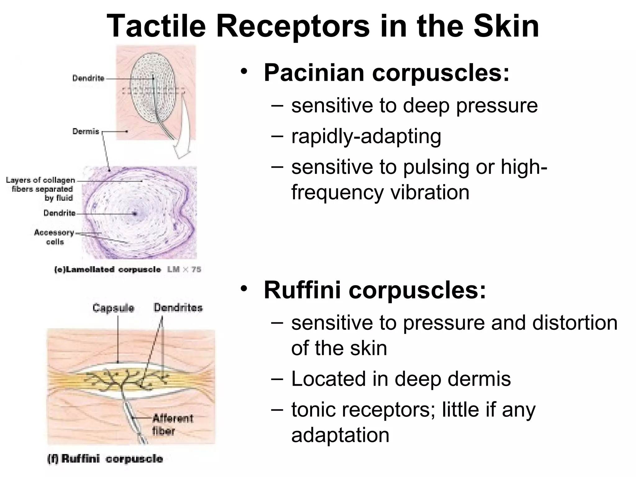 Lecture12 2 13 | PPT