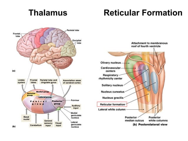Lecture12 2 13 | PPT