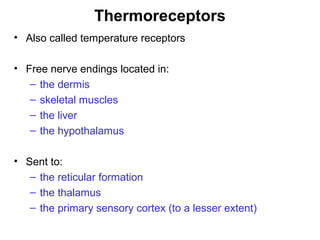 Lecture12 2 13 | PPT
