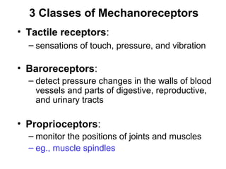 Lecture12 2 13 | PPT