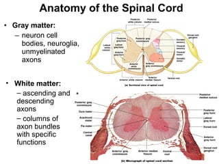 Lecture12 2 13 | PPT