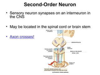 Lecture12 2 13 | PPT