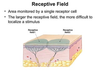 Lecture12 2 13 | PPT