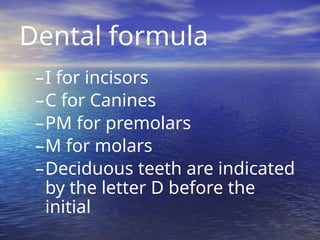 Lecture 1 _ (2_2_2016) Introduction to dental anatomy .ppt.pptx