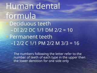 Lecture 1 _ (2_2_2016) Introduction to dental anatomy .ppt.pptx
