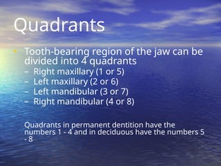 Lecture 1 _ (2_2_2016) Introduction to dental anatomy .ppt.pptx