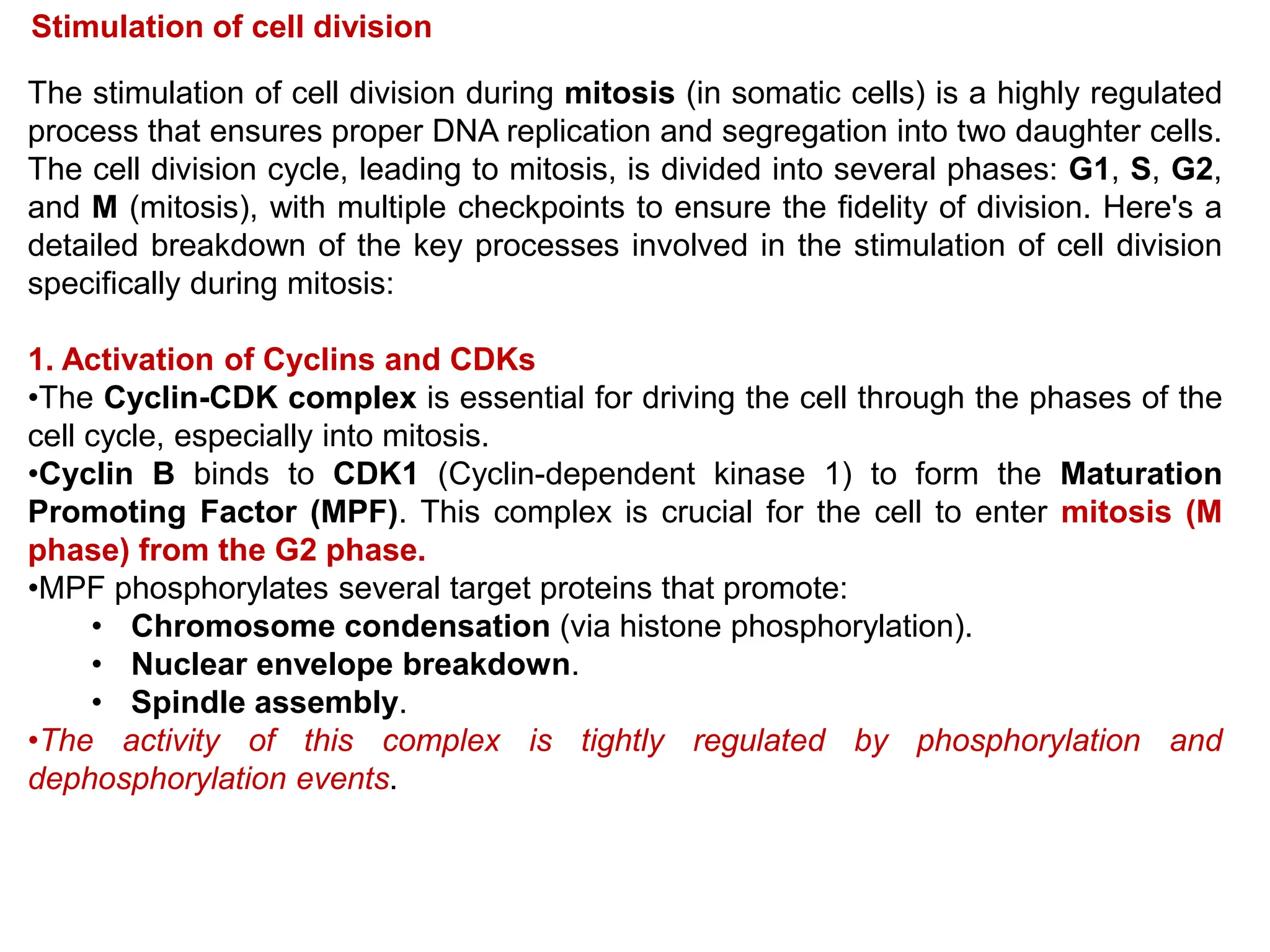 Lecture on stages of Mitosis-cell di.pdf