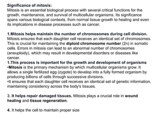 Lecture on stages of Mitosis-cell di.pdf