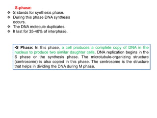 Lecture on stages of Mitosis-cell di.pdf