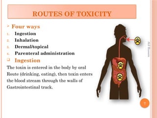 Lecture 1 (25).pptx food ';/.,;'/.,;'/.,; | PPTX