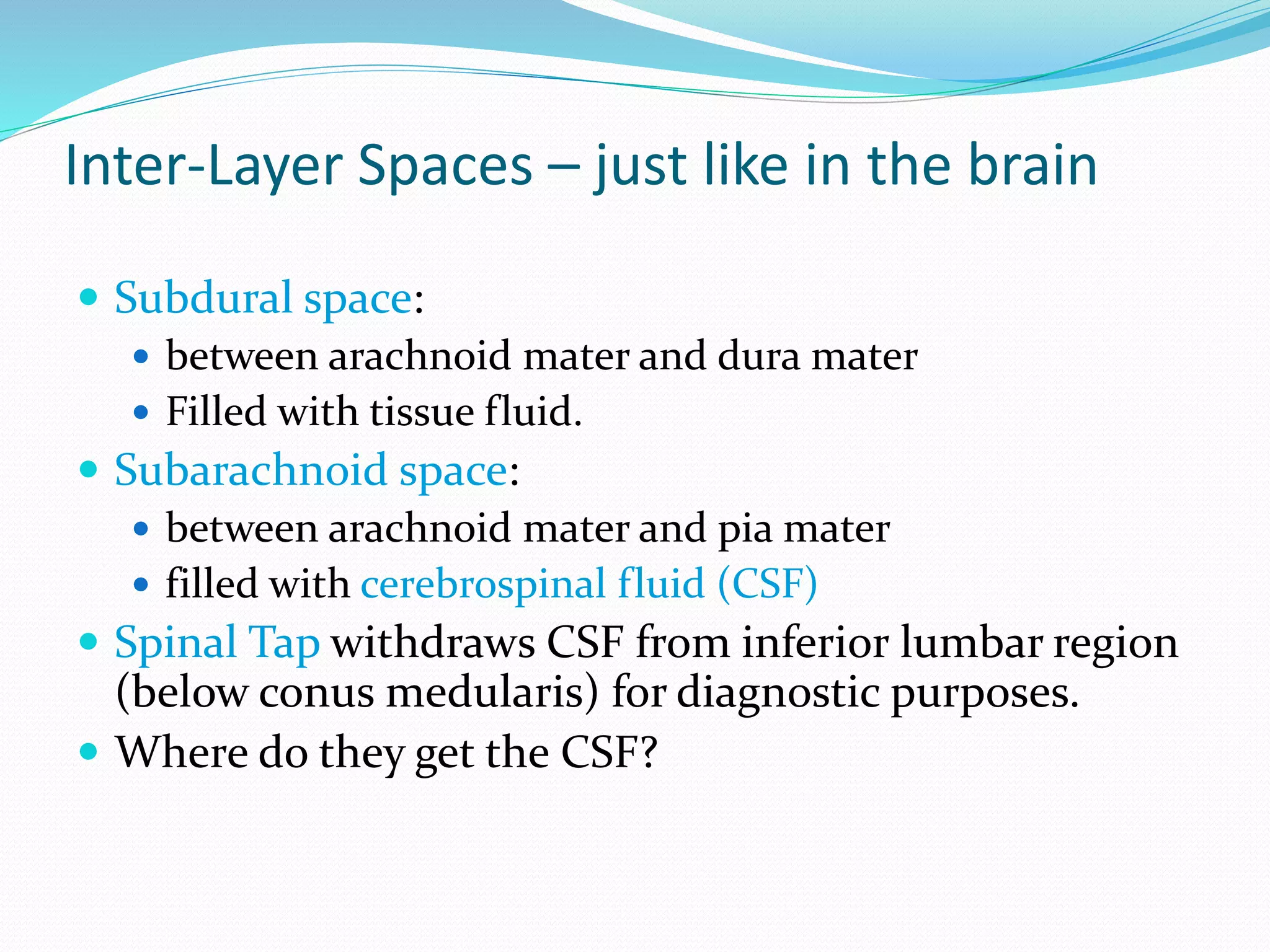 Spinal cord Anatomy | PPTX
