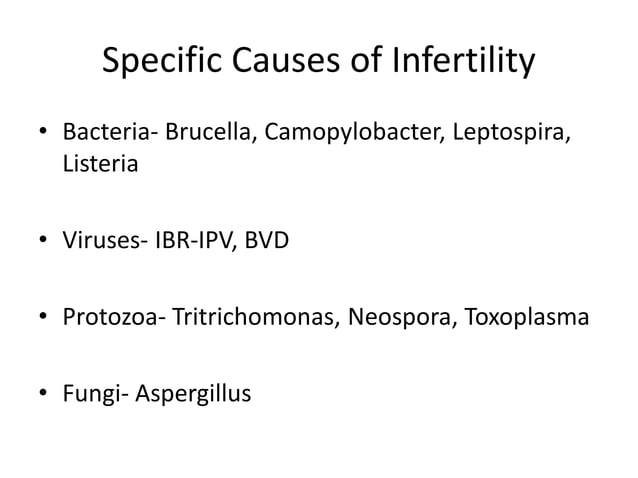 Lecture 12 Bovine infectious infertility | PDF