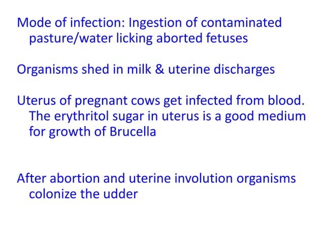 Lecture 12 Bovine infectious infertility | PDF