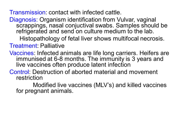 Lecture 12 Bovine infectious infertility | PDF