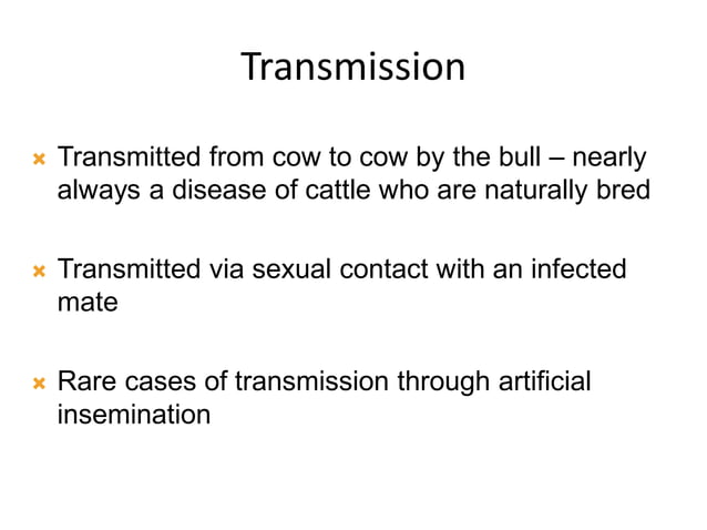 Lecture 12 Bovine infectious infertility | PDF