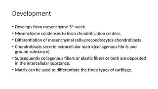 LECTURE 12_ DEVELOPMENT OF CARTILAGE AND BONE_DISORDERS OF GROWTH.pptx