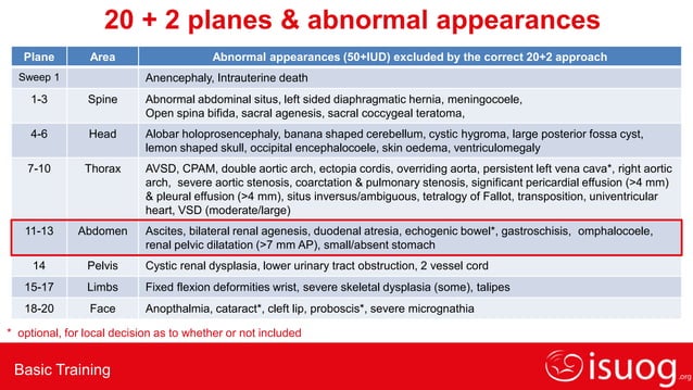 Lecture 12 distinguishing between normal and abnormal appearances of ...