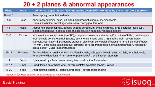 Lecture 12 distinguishing between normal and abnormal appearances of ...