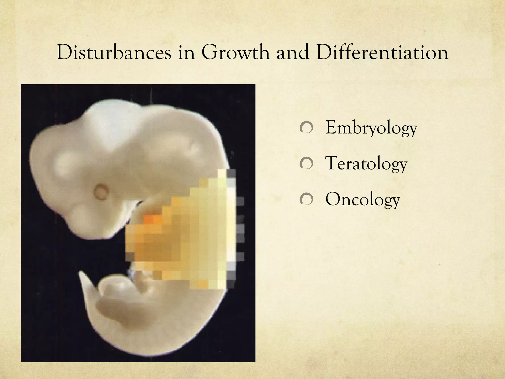 Lecture 12 disturbances in growth and differentiation | PPT