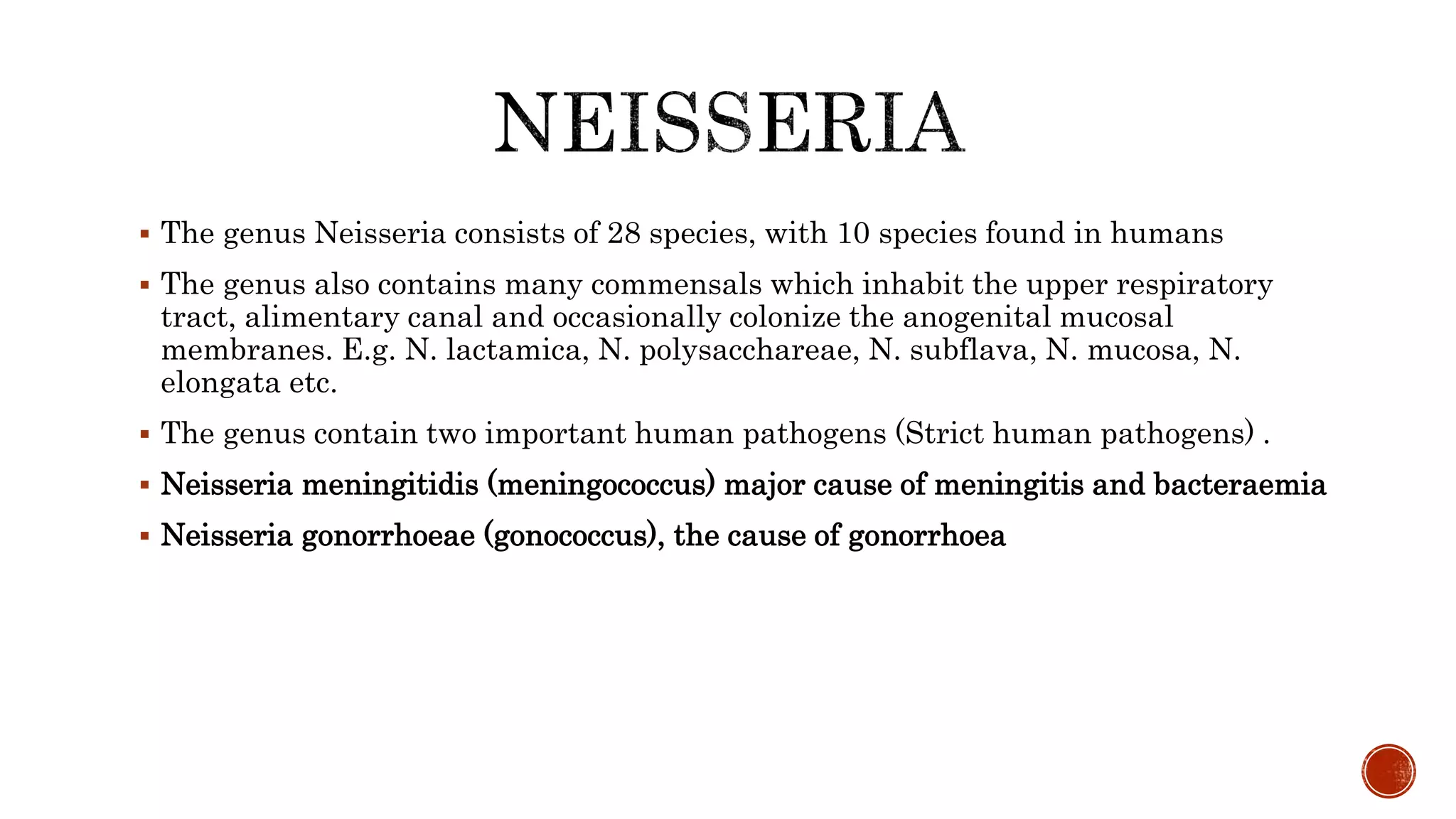 Lecture 12 (G+ & G- cocci ;STAPH& NEISSERIA).pptx