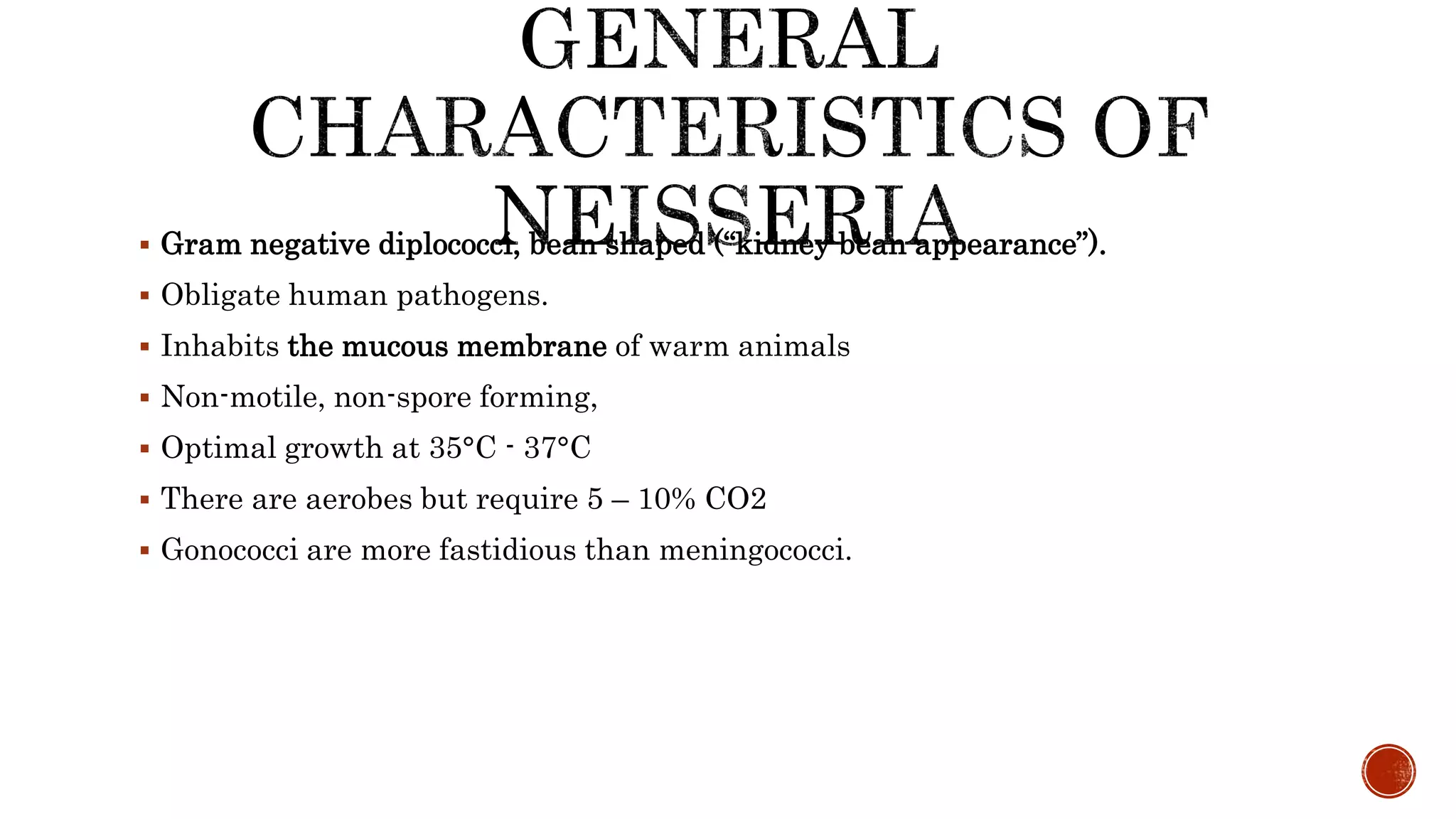 Lecture 12 (G+ & G- cocci ;STAPH& NEISSERIA).pptx