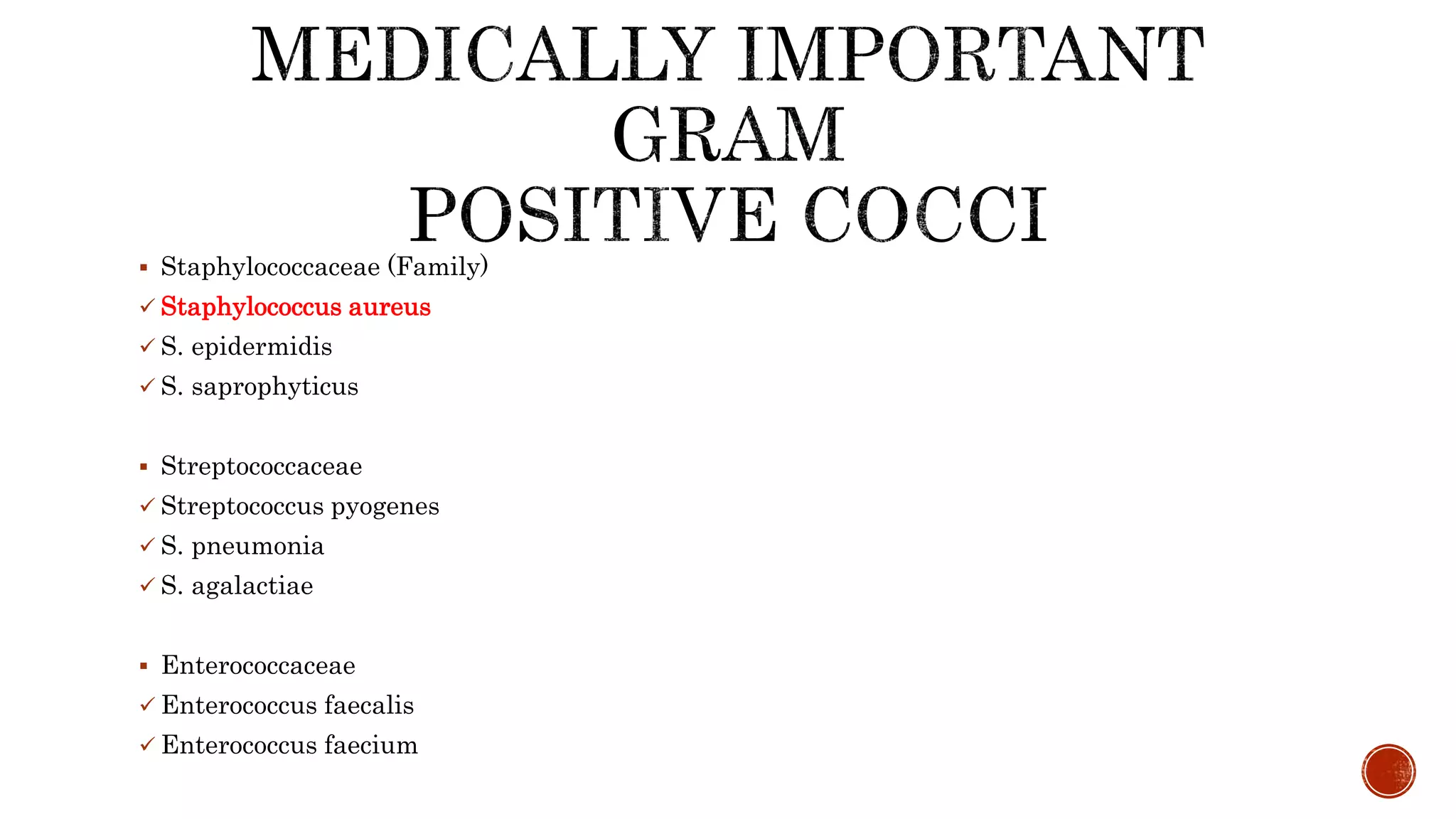 Lecture 12 (G+ & G- cocci ;STAPH& NEISSERIA).pptx