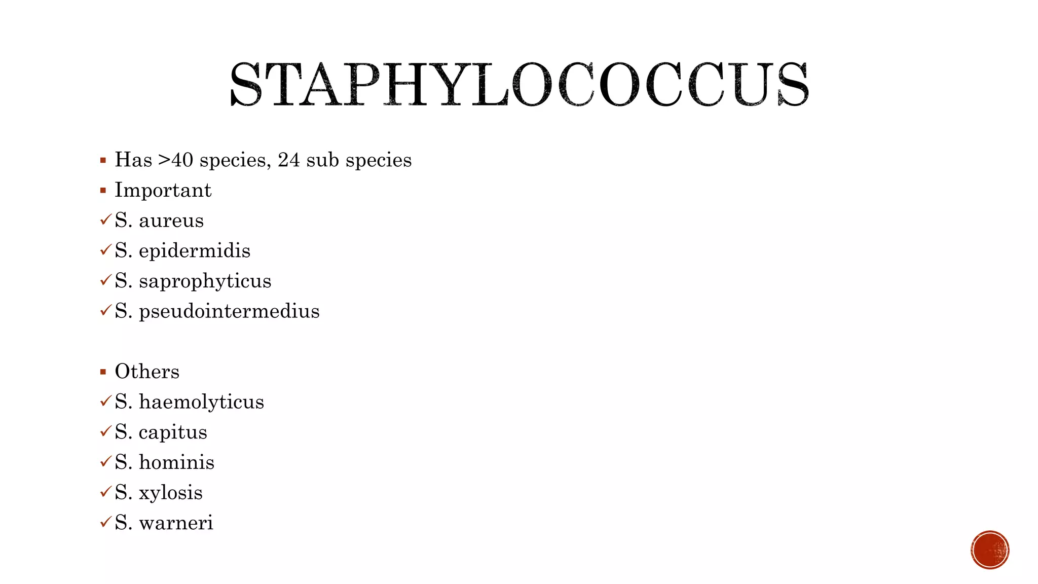 Lecture 12 (G+ & G- cocci ;STAPH& NEISSERIA).pptx