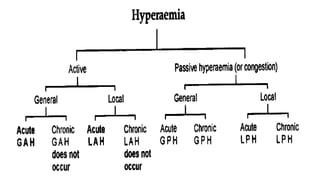 Lecture # 12 HYPERAEMIA AND CONGESTION.pdf