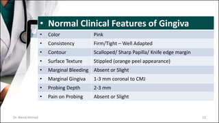 The Normal Periodontium | PPT