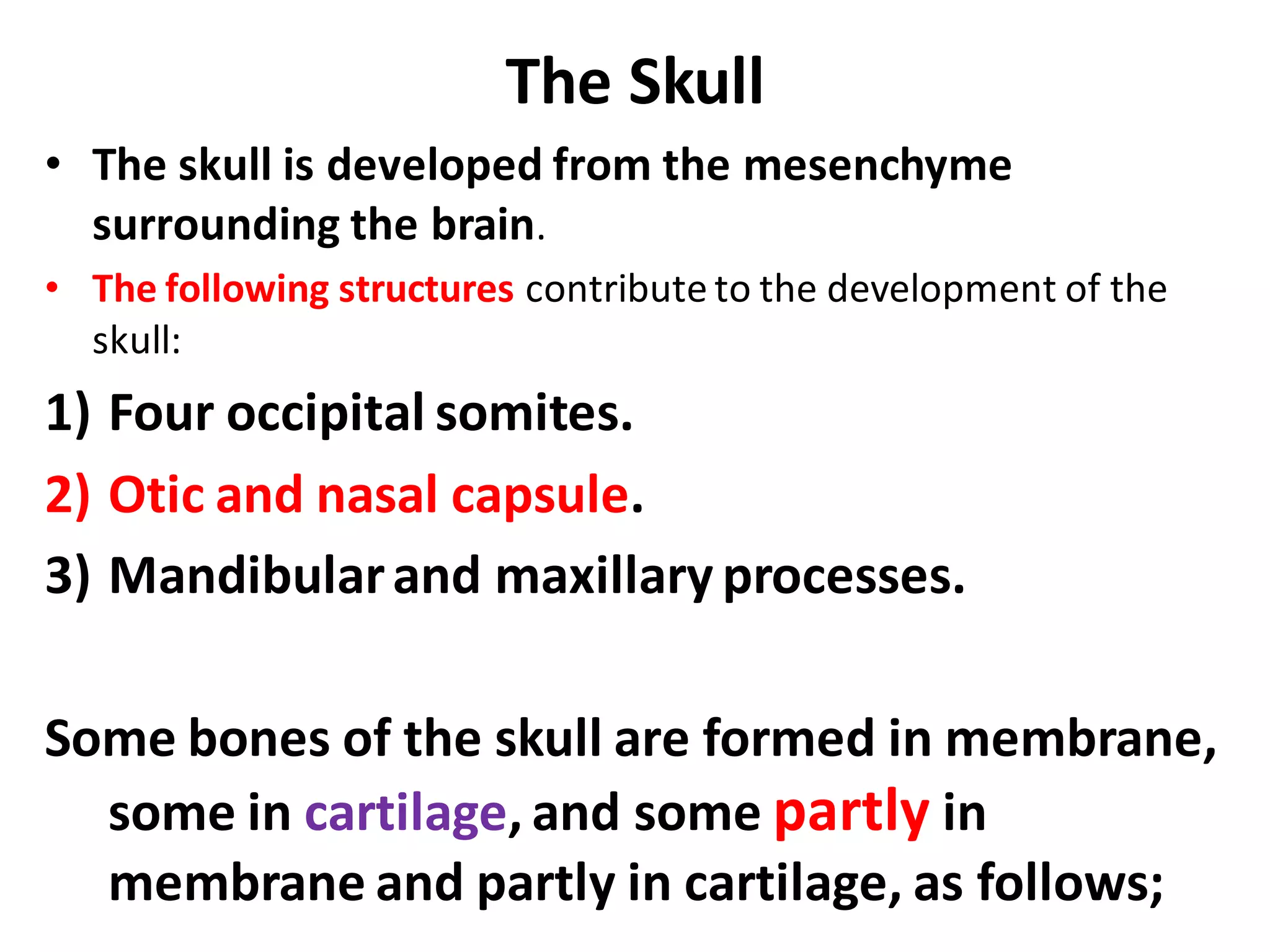 Lecture 12 the skeleton embryology pdf | PDF