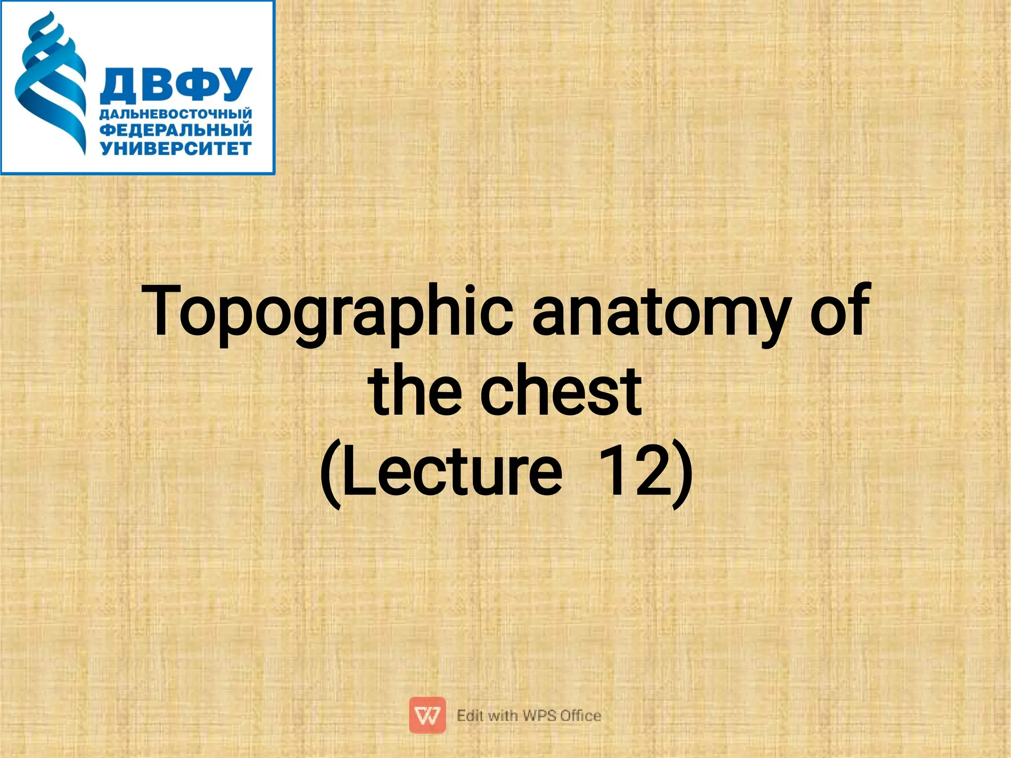 Lecture 12 Topographic anatomy of the chest.pdf