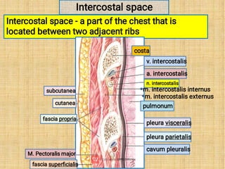 Lecture 12 Topographic anatomy of the chest.pdf