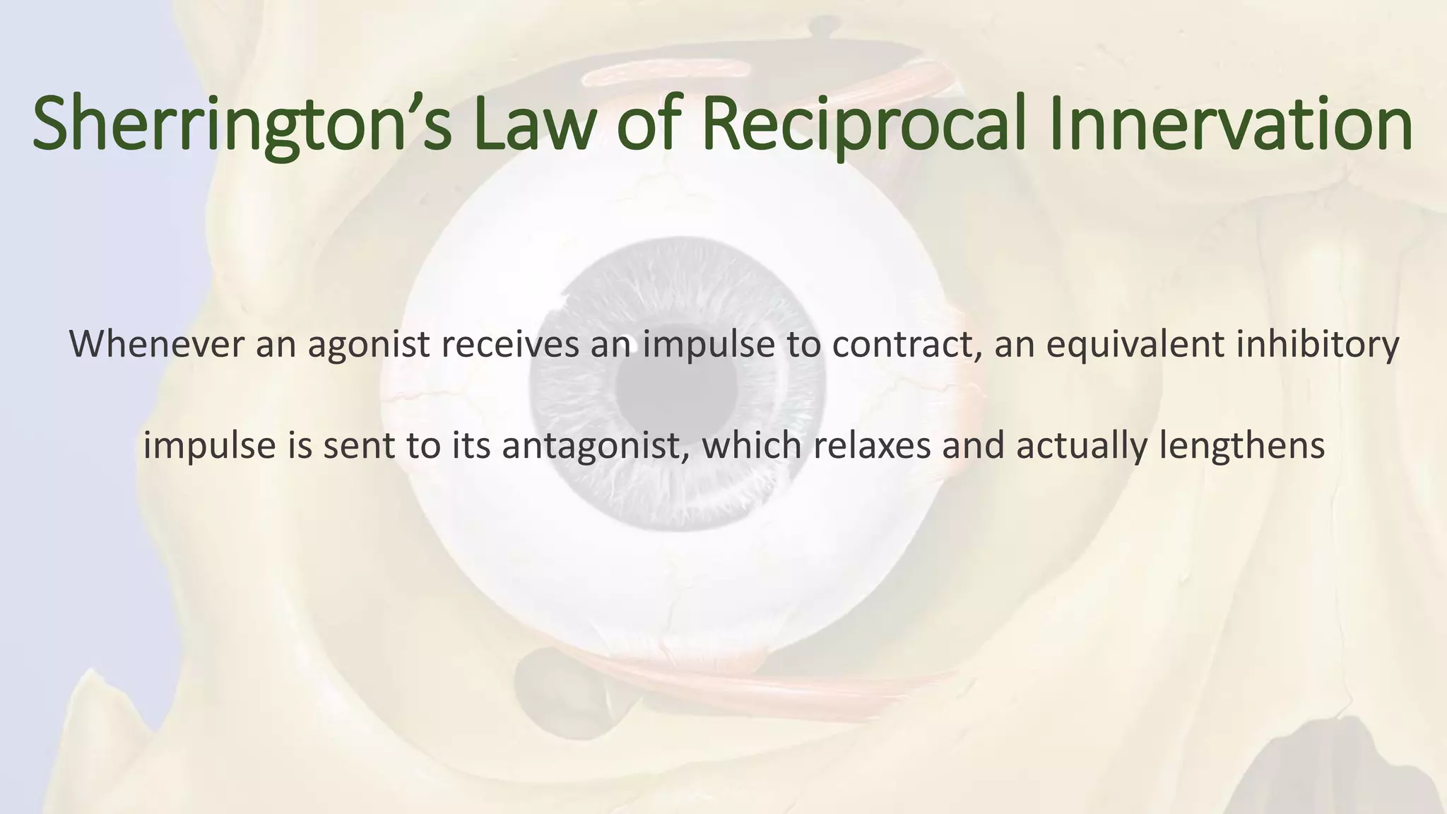 Sherrington’s Law | PPTX