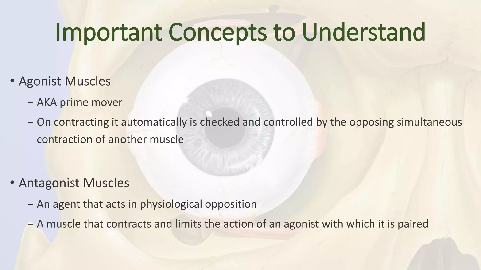 Sherrington’s Law | PPTX