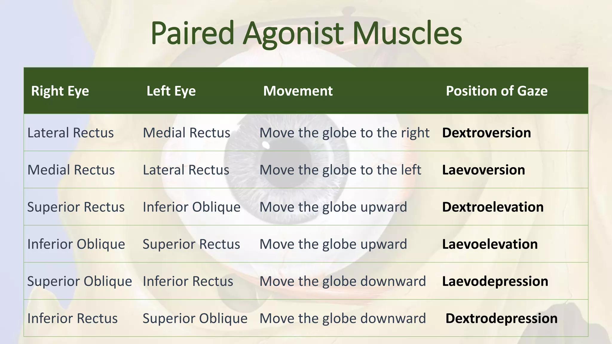 Sherrington’s Law | PPTX
