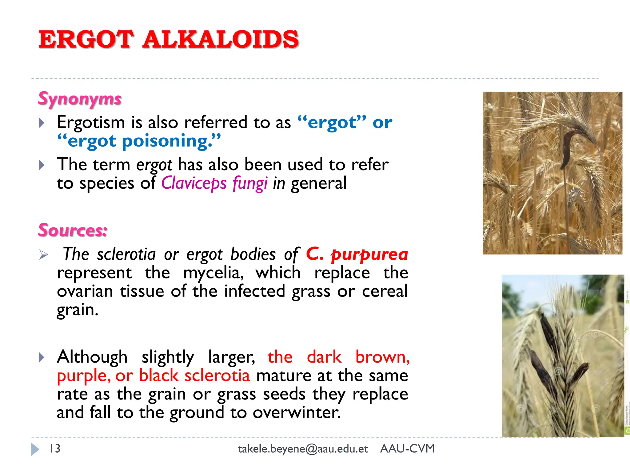 Lecture 13. Mycotoxins like aflatoxin.pdf