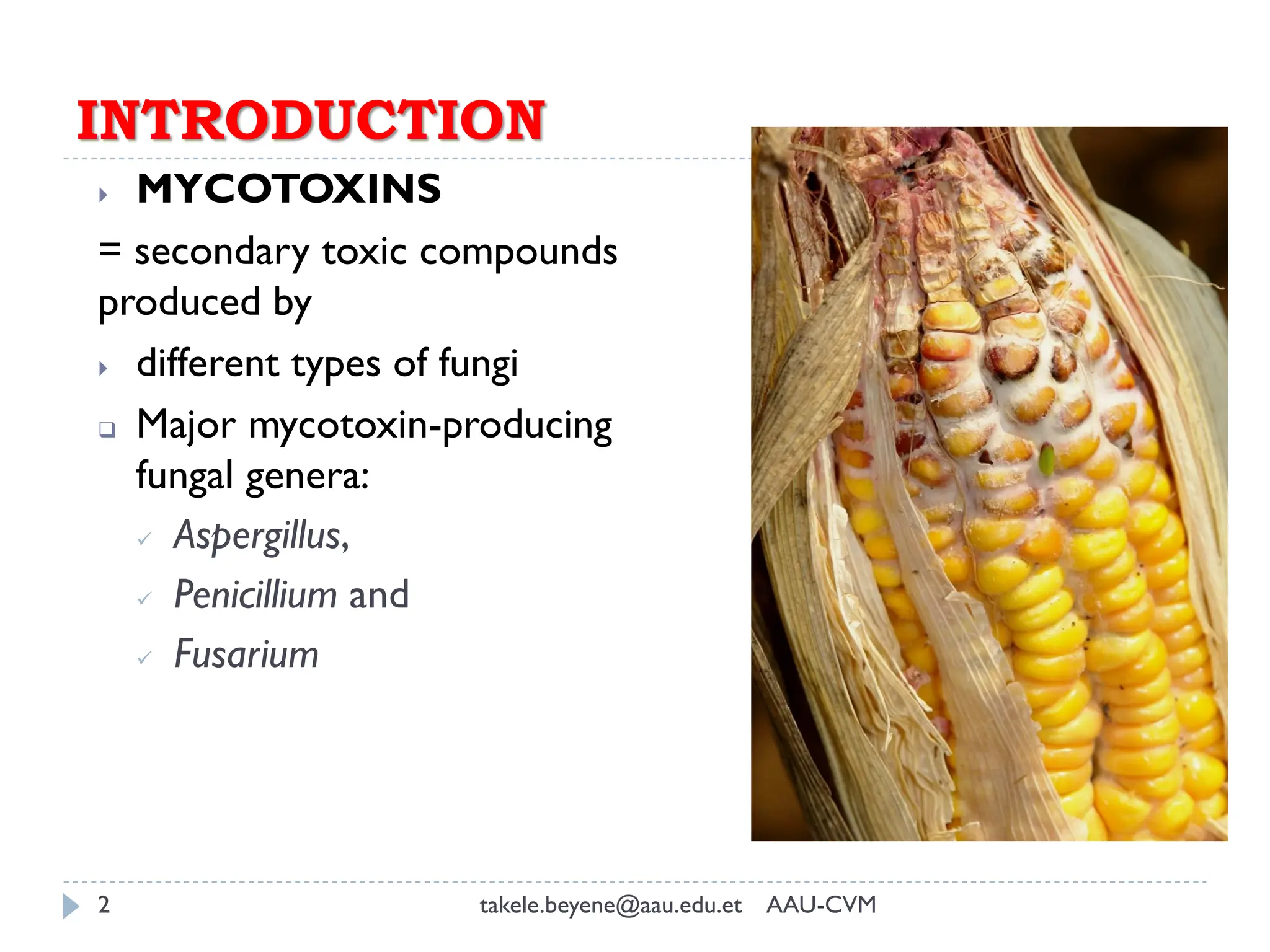 Lecture 13. Mycotoxins like aflatoxin.pdf