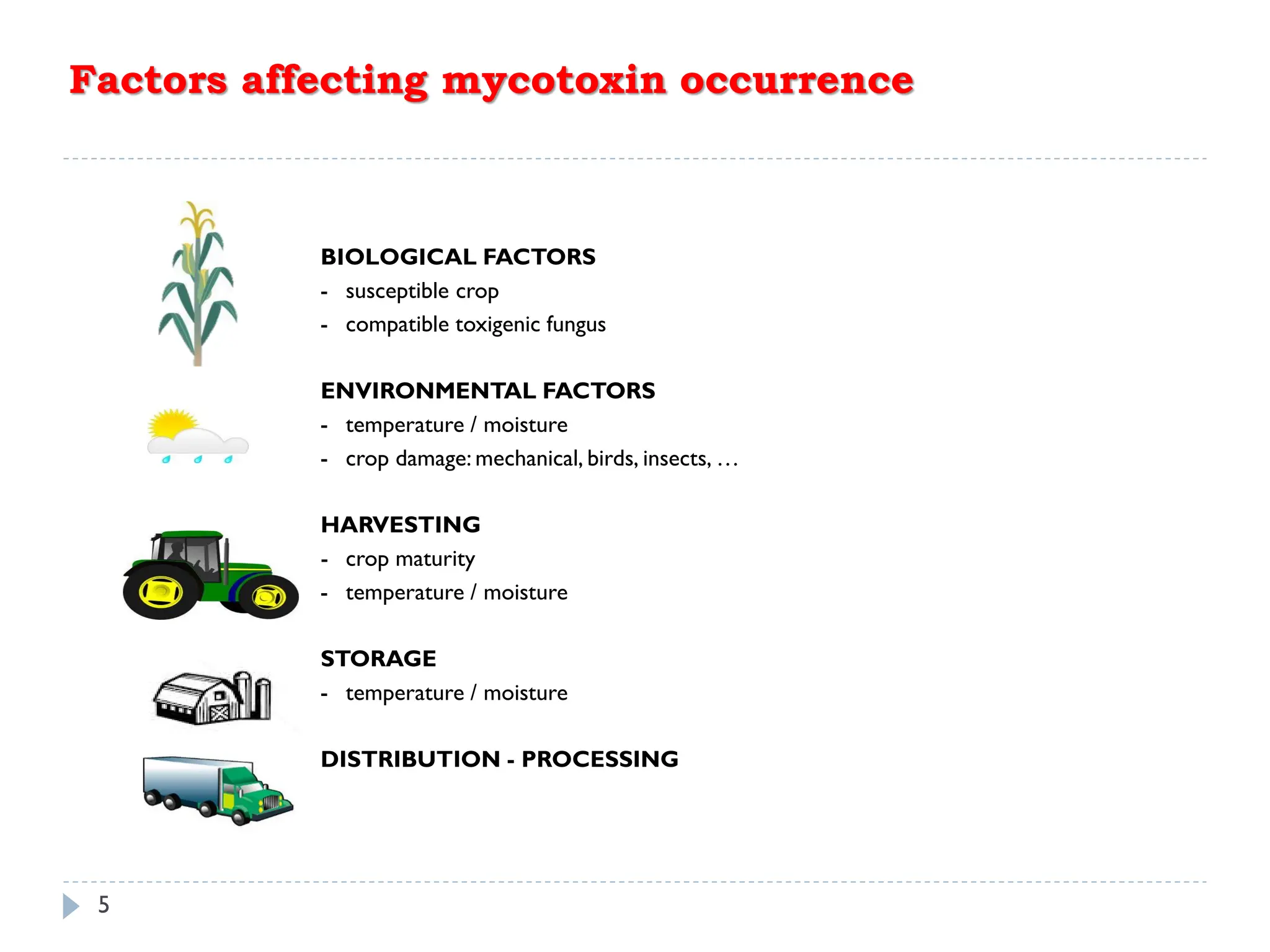 Lecture 13. Mycotoxins like aflatoxin.pdf