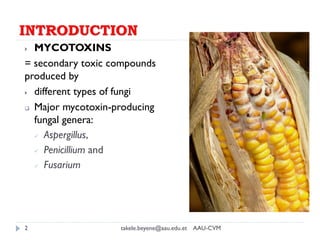 Lecture 13. Mycotoxins like aflatoxin.pdf