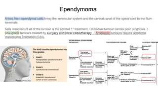 Lecture 13.Brain Tumours (1).pptx oncology. | PPTX