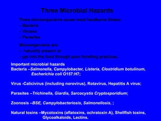 food safety, and types of hazards in food | PPT