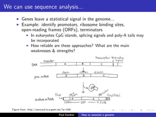 BIOL335: How to annotate a genome | PDF