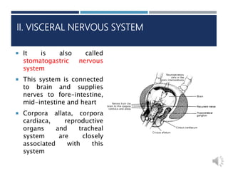 Lecture 13 insect nervous system | PPSX
