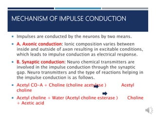 Lecture 13 insect nervous system | PPSX