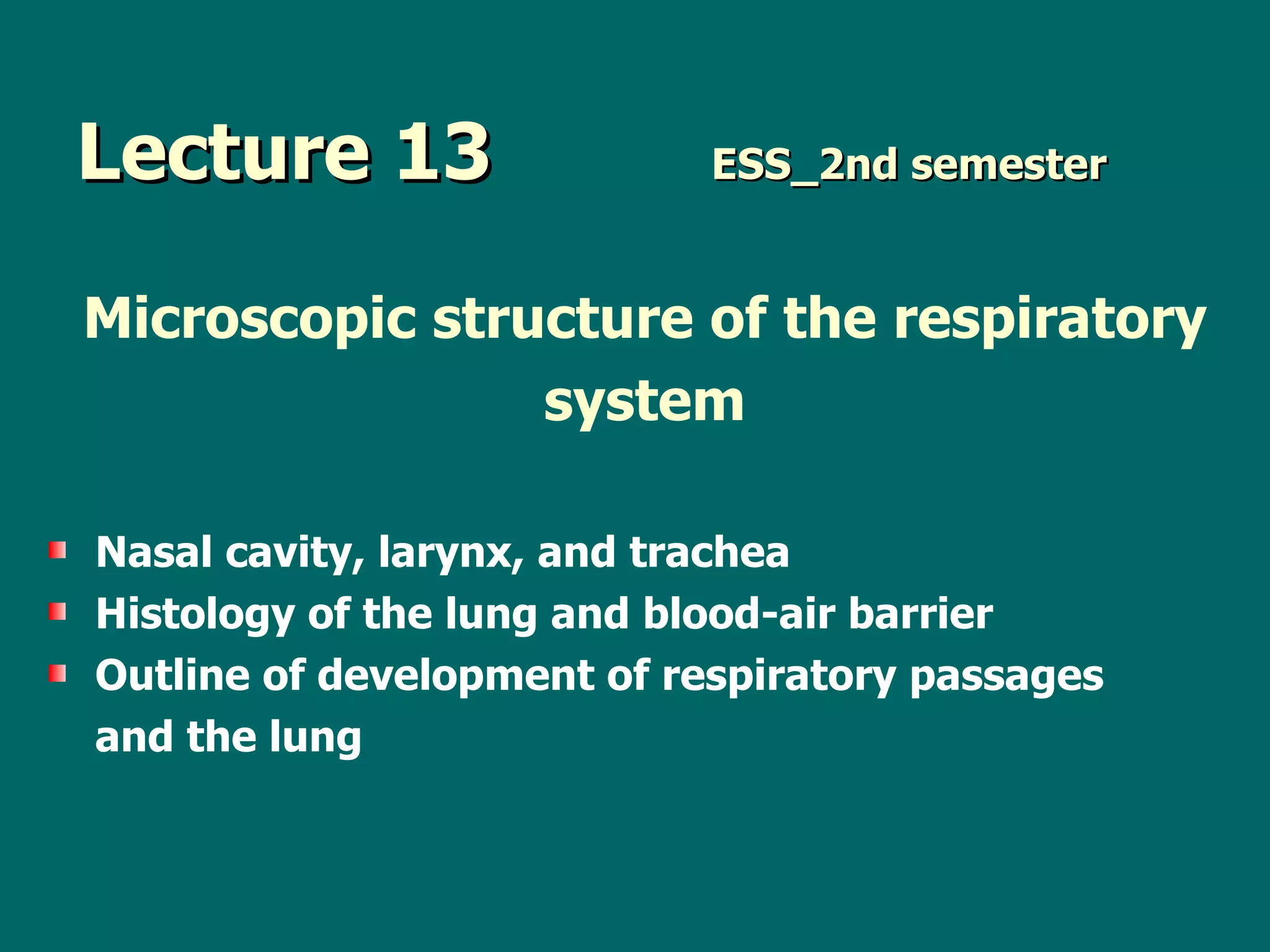Lecture13 microscopic structure of the respiratory | PPT
