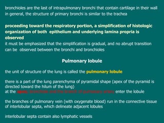 Lecture13 microscopic structure of the respiratory | PPT