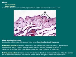 Lecture13 microscopic structure of the respiratory | PPT