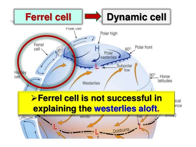 Lecture13 oct23-bb(1)